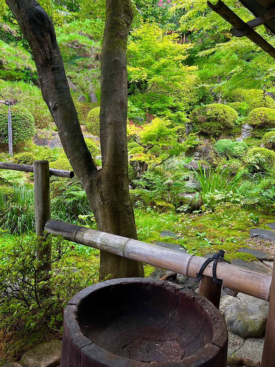 Nakasendo Trail: Day 4 (Kiso-Fukushima) – The Rookery