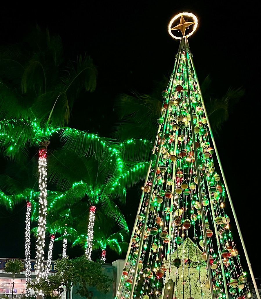 Florida Overseas Heritage Trail – The Rookery